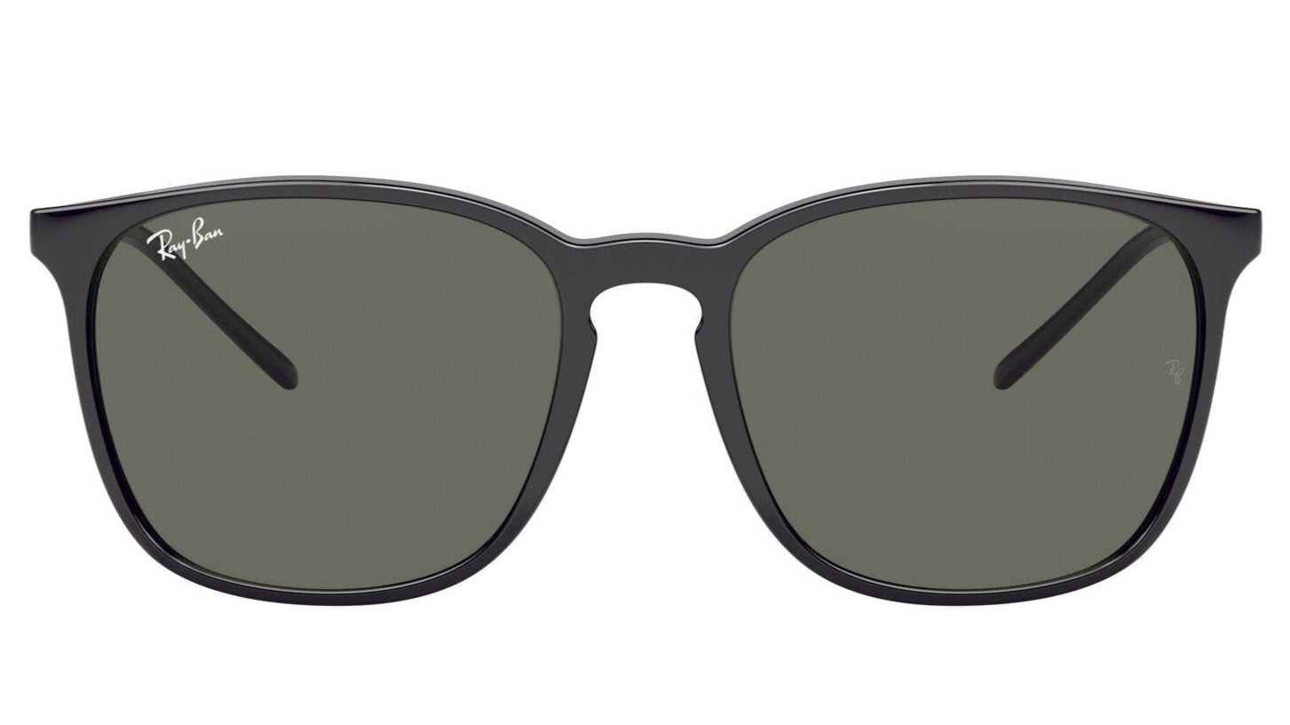 Ray-Ban 4387 Sunglasses | Gloss Black Green – Great Southern Sunnies