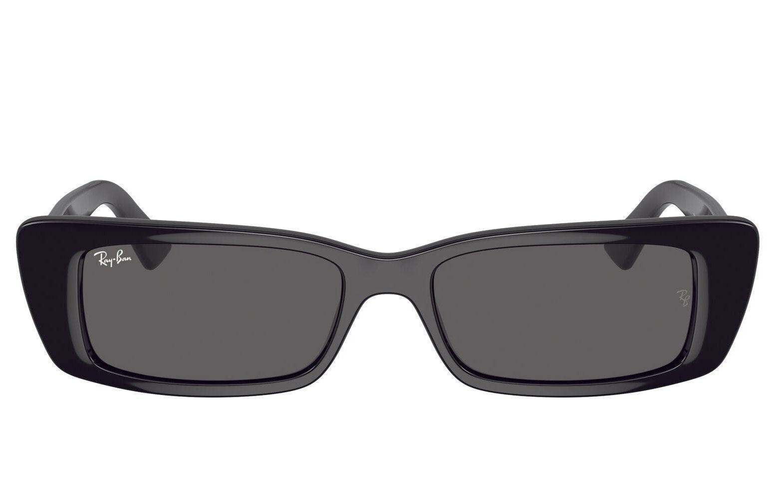 Ray-Ban 4425 Teru Black Dark Grey RB4425 667787 (54) – Great Southern ...