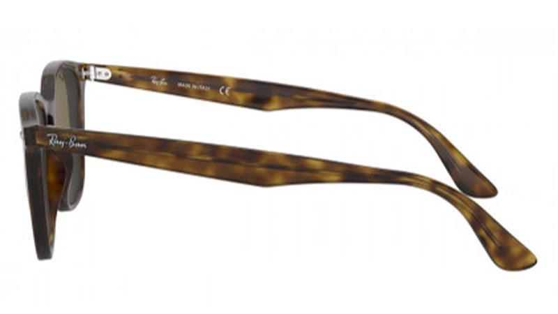Ray-Ban 4258 Shiny Havana Brown (4258 710/73) | Great Southern Sunnies